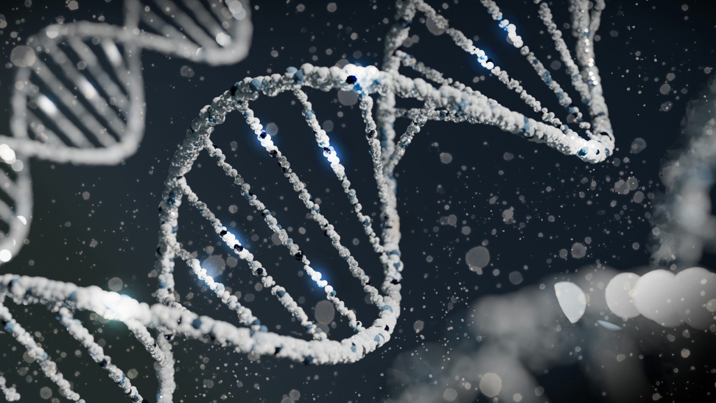 Role Of Genetics In Muscle Building